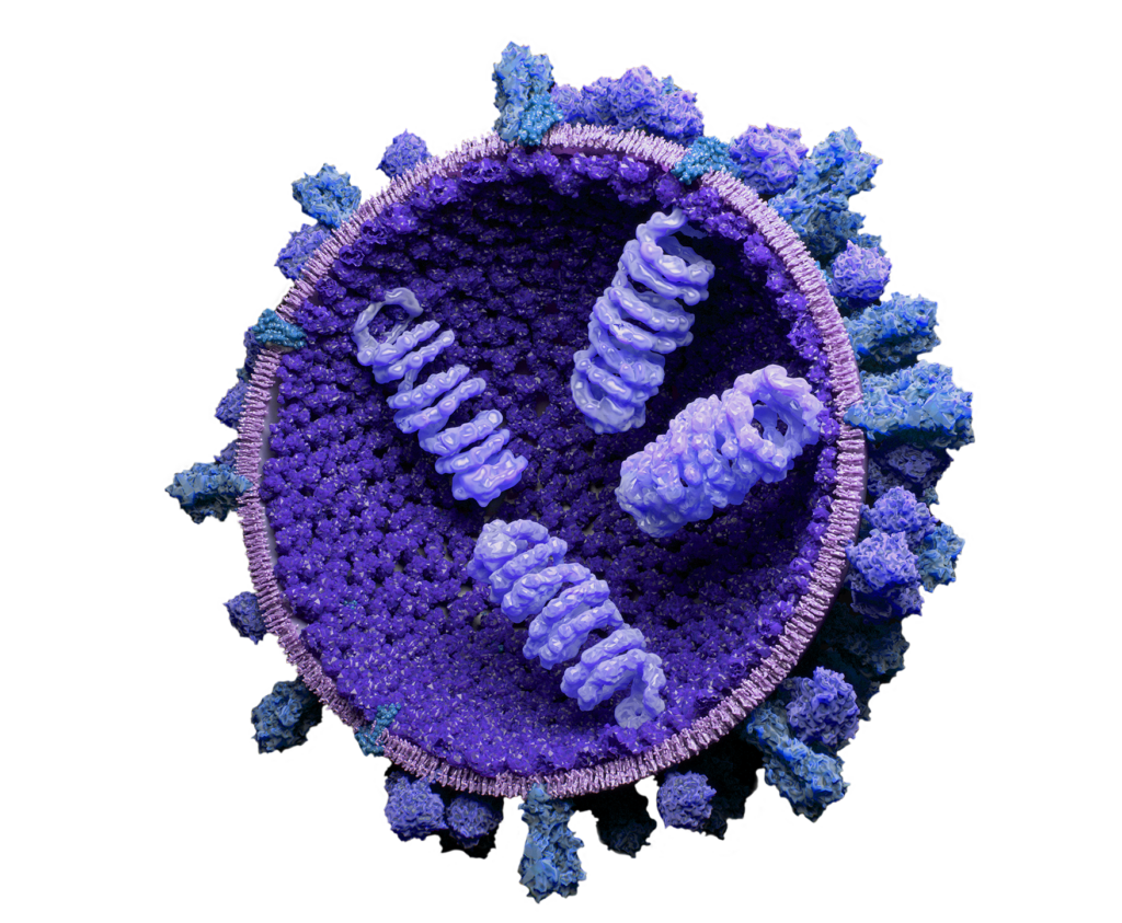 Innovative viral vectors for vaccines, oncology and gene therapy - Sagitta