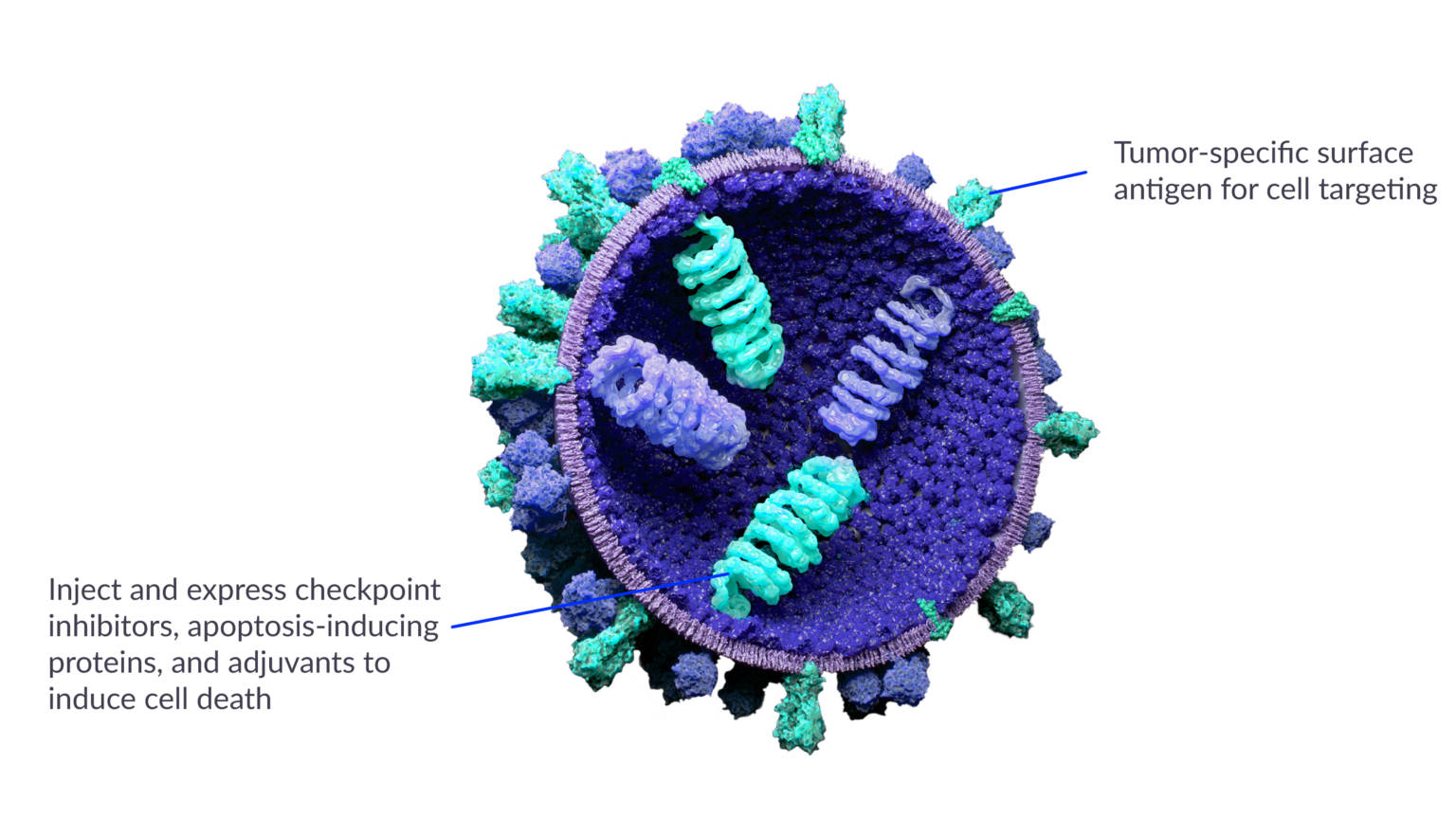Innovative viral vectors for vaccines, oncology and gene therapy - Sagitta